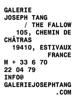 Galerie Joseph Tang